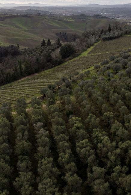 INDAGRO